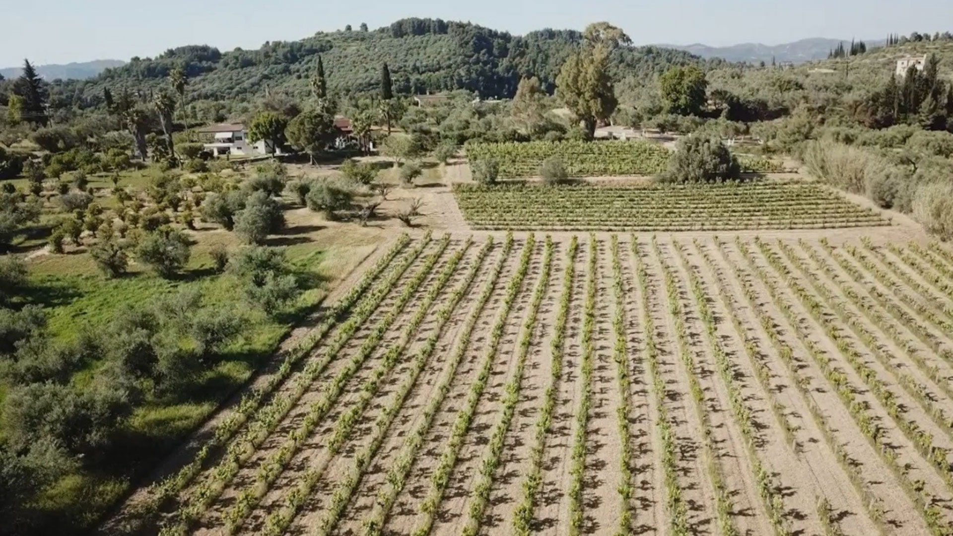 Drouva Winery